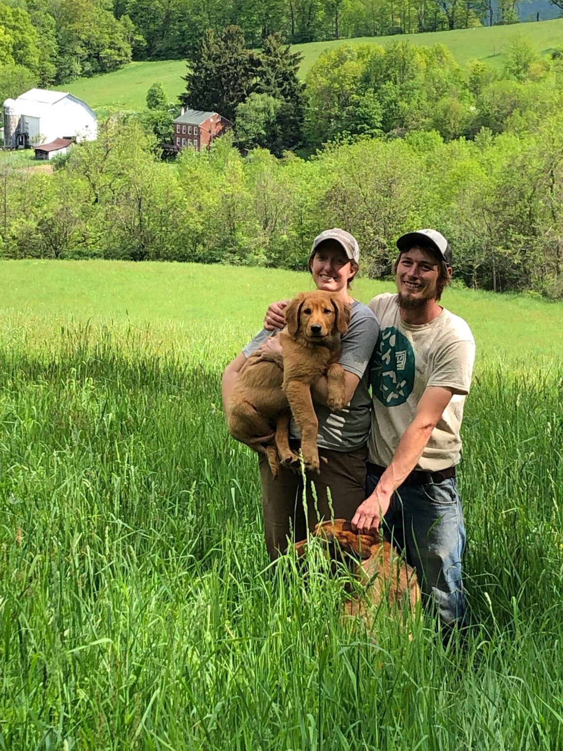 About Us – Turkey Foot Farm